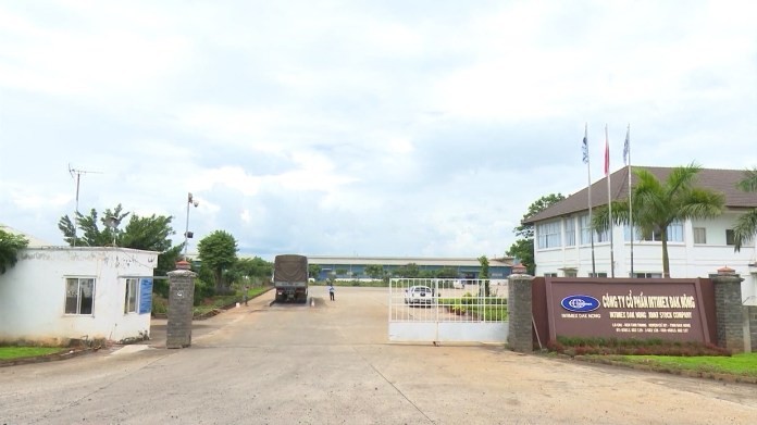 Cty Cp Tập Đoàn Intimex: [100% THÔNG TIN] về Intimex Group