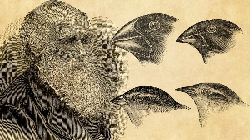 Charles Darwin và Thuyết Tiến hóa nổi tiếng của ông